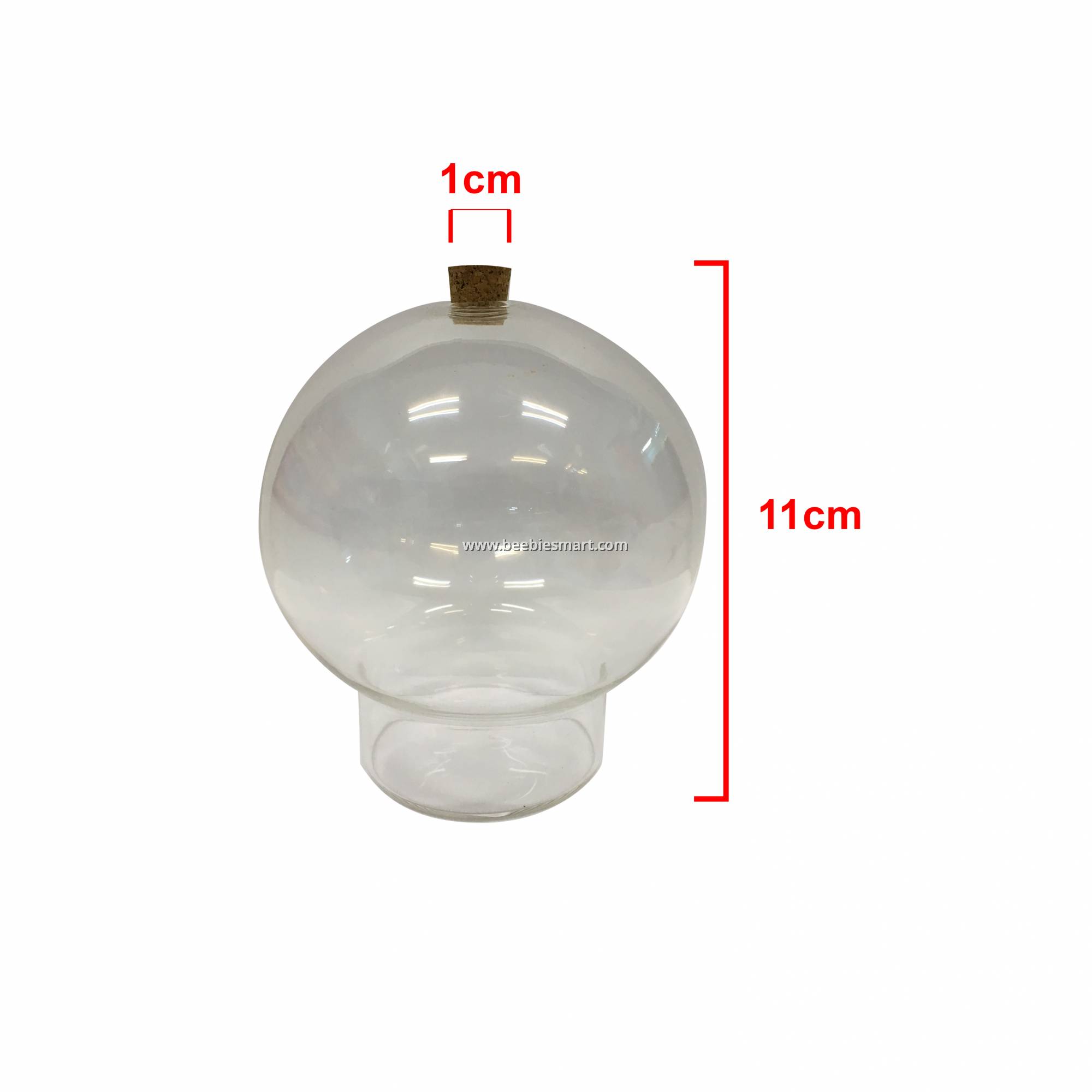 The Original Aloha Shrimp - Globe Habitat: White