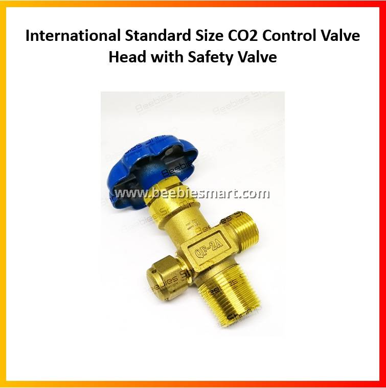 International Standard Size CO2 Control Valve Head with Safety Valve