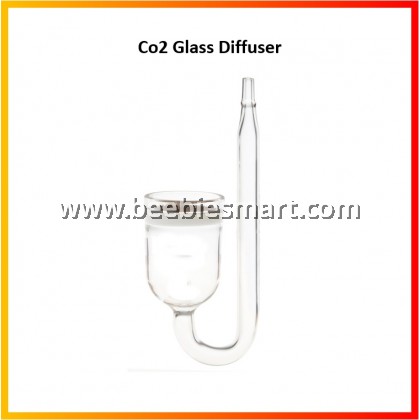 Co2 Glass Diffuser