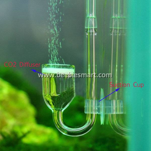 Co2 Glass Diffuser
