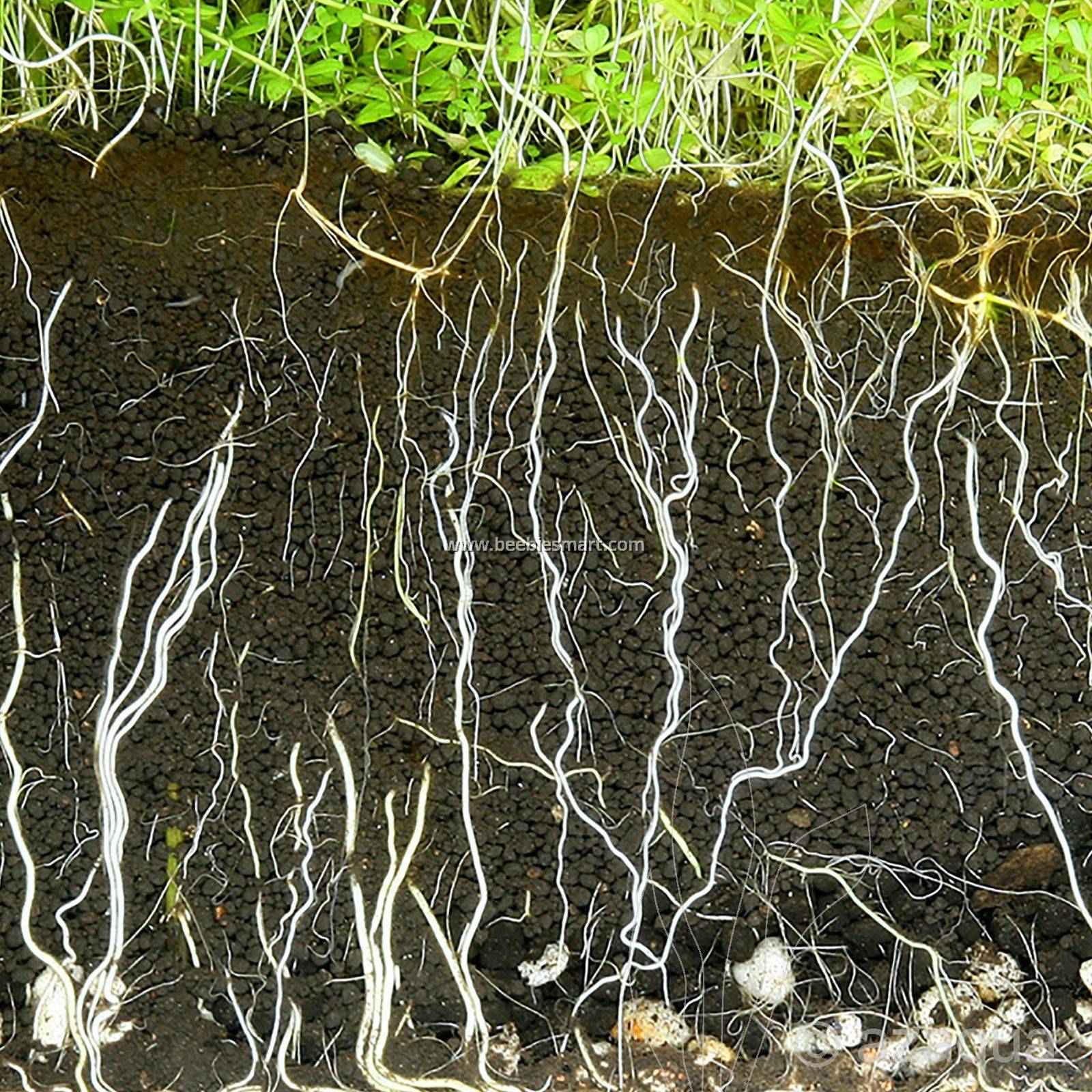 ADA Aqua Soil Amazonia