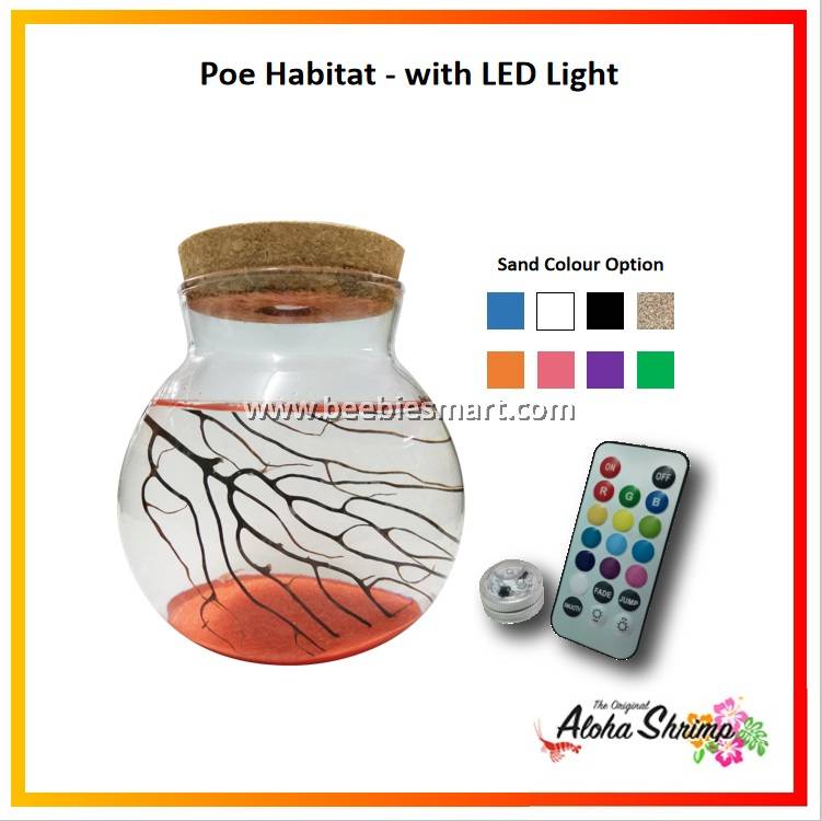 The Original Aloha Shrimp - Poe Habitat: LED Light