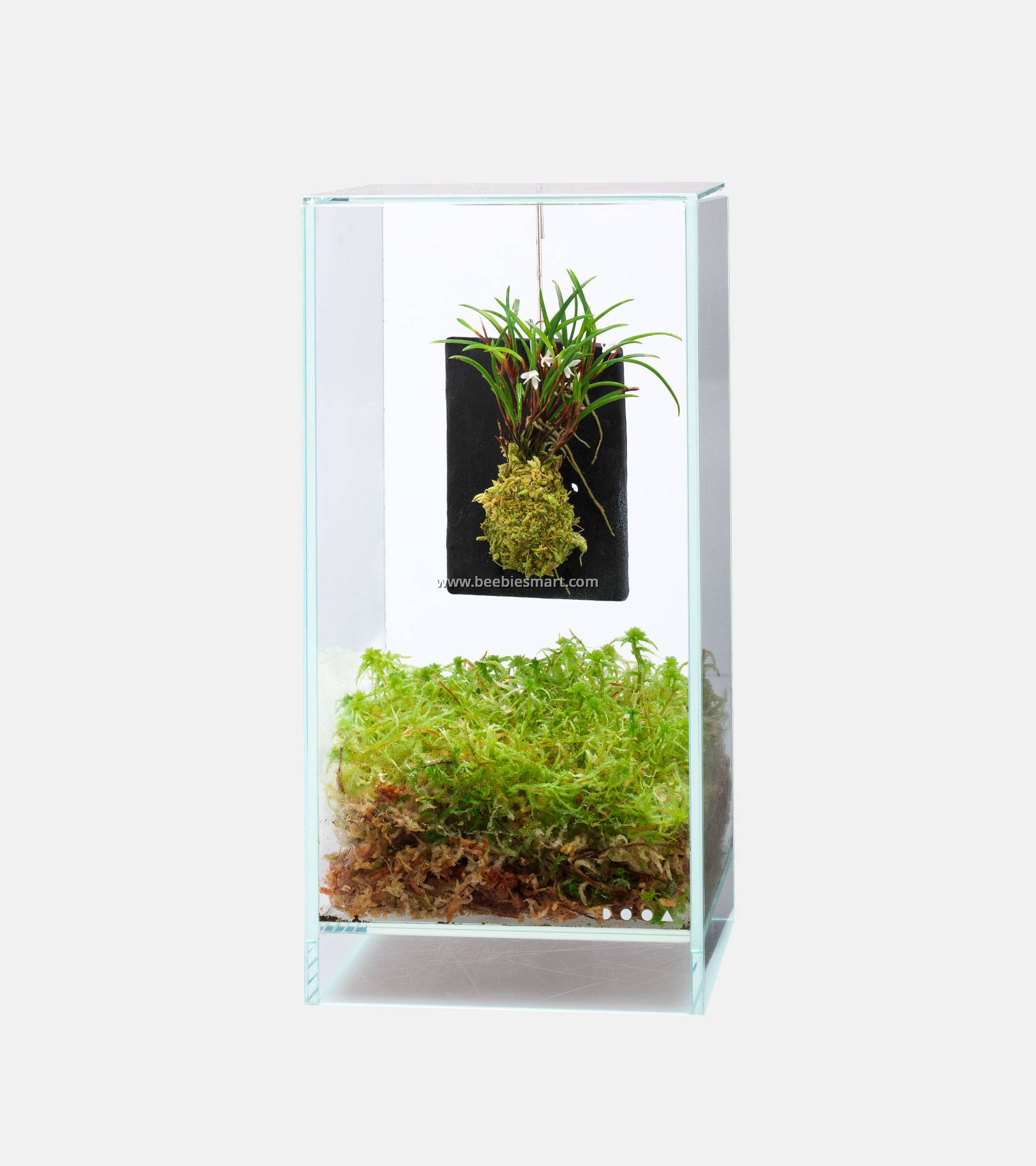 ADA DOOA Terra Plate