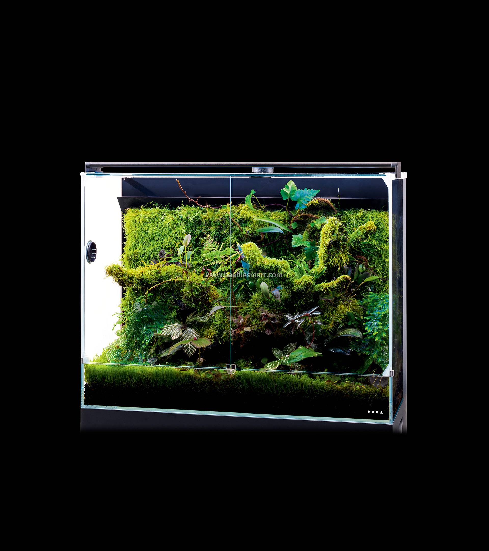 ADA DOOA Paluda light (C-Plug)