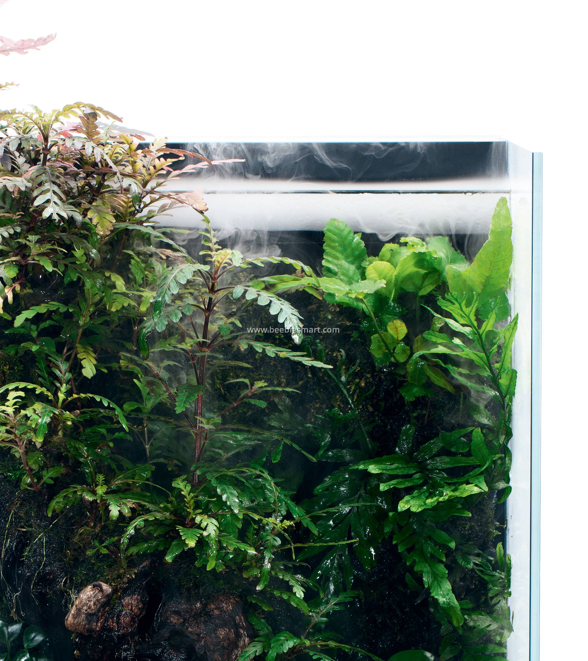 ADA DOOA Mistflow (C Plug)