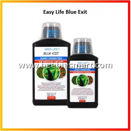 Easy Life Blue Exit