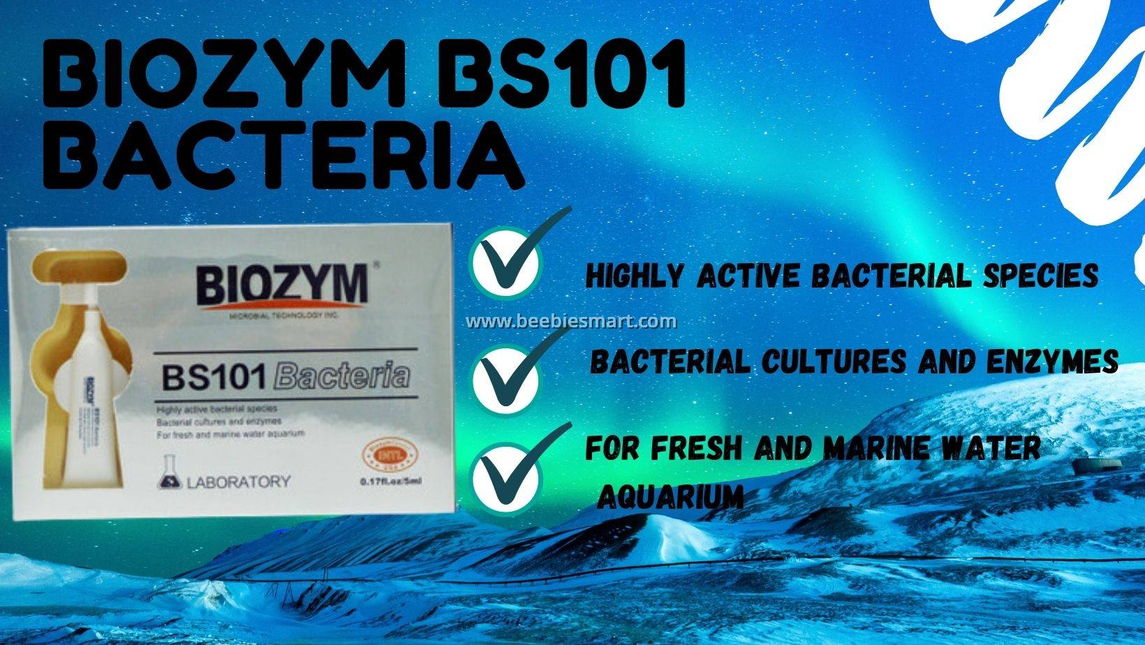 Biozym BS101 Bacteria Laboratory