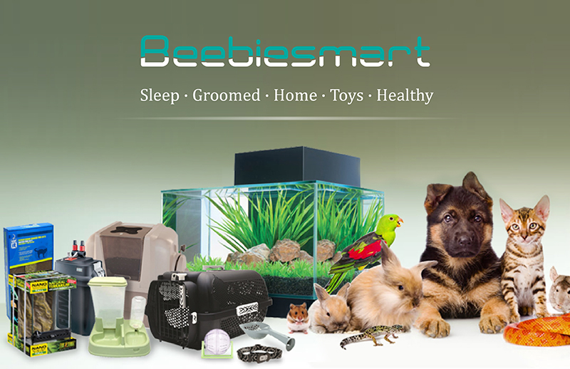 All about the Beebies Shrimp Founder Story