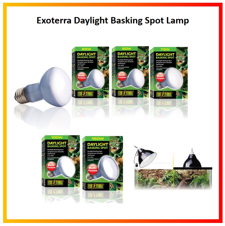 Exoterra Daylight Basking Spot Lamp / Sun Glo Lamp